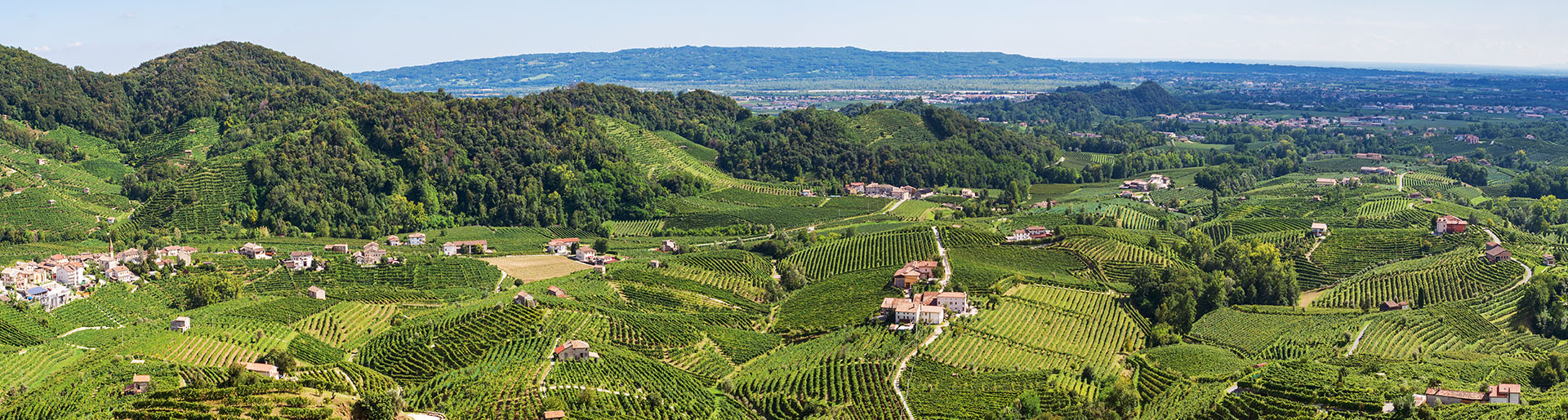 Charmat Method | La Boutique Du Vin