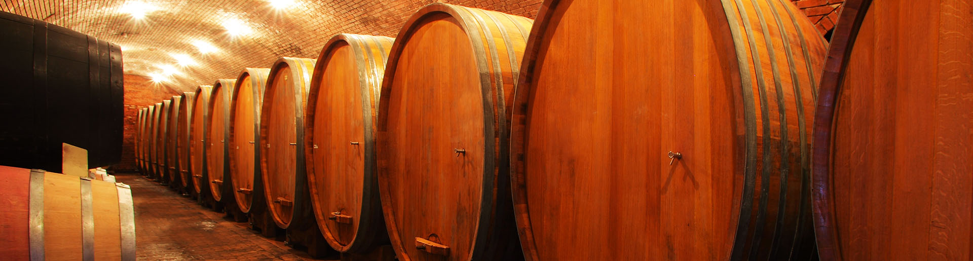 Los Botti | La Boutique Du Vin