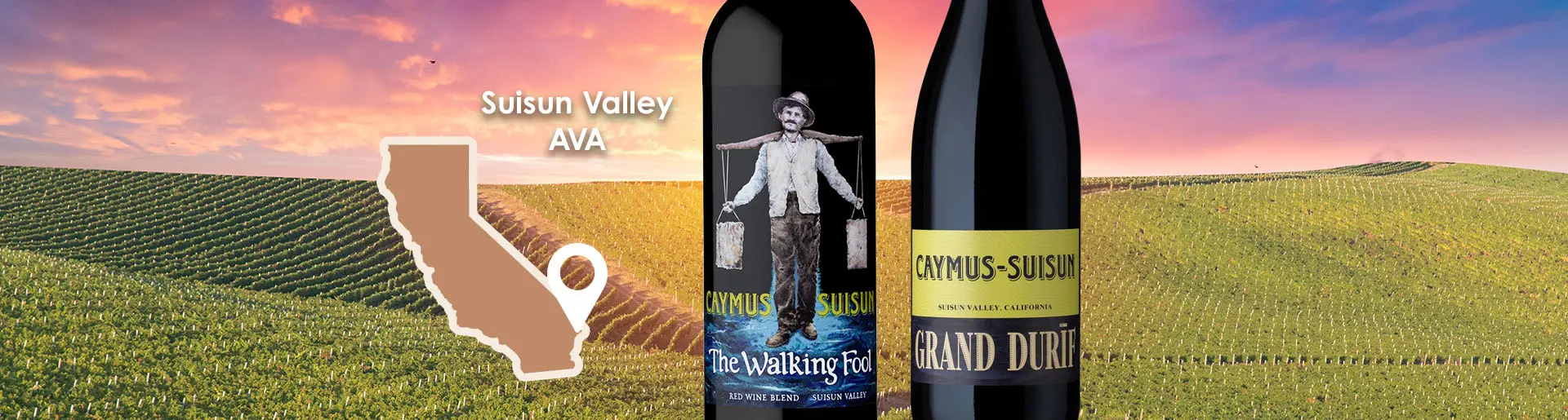 Suisun Valley AVA | La Boutique Du Vin