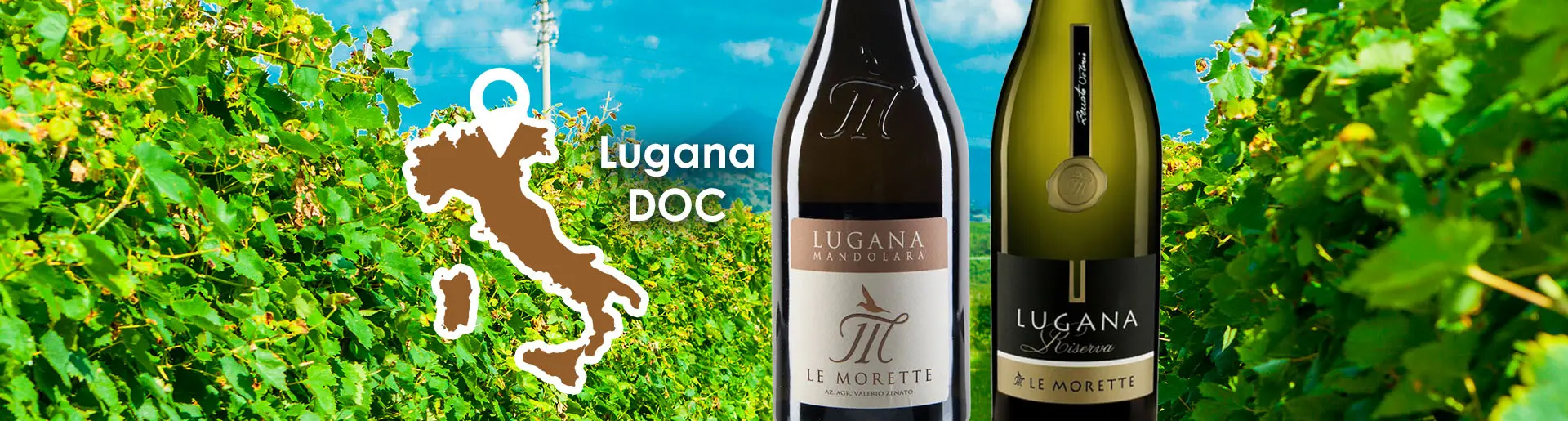 Lugana | La Boutique Du Vin